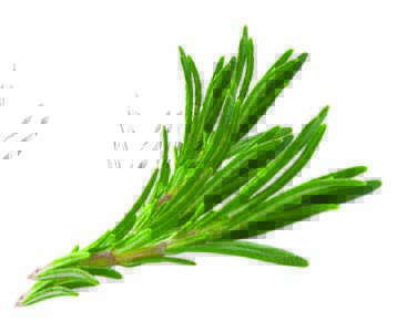 Ingredients - Healthy Shores